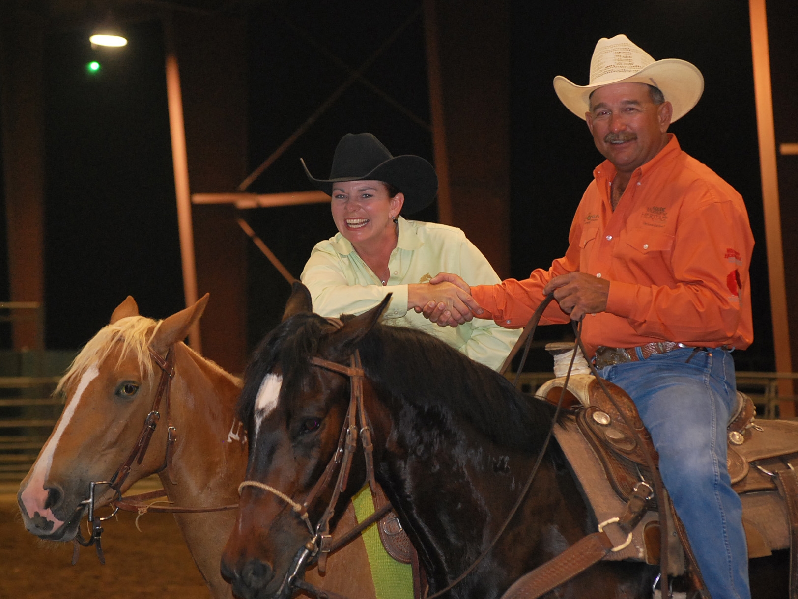 Horsetrader.com News » Article » Norco ‘makes over’ Mustang Makeover