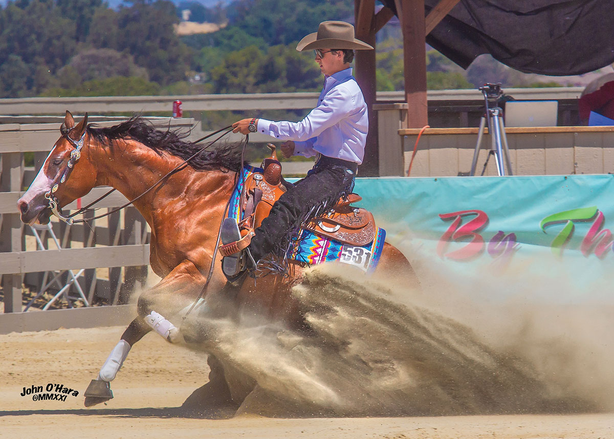 Horsetrader.com News » Article » Big wins by the Bay